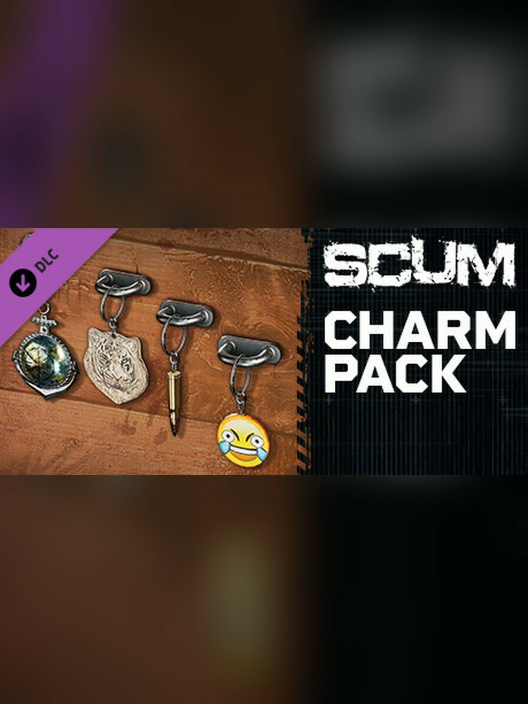 SCUM: Charms Pack - набор украшений цифровой ключ | все страны | ПК | Цифровой код Steam