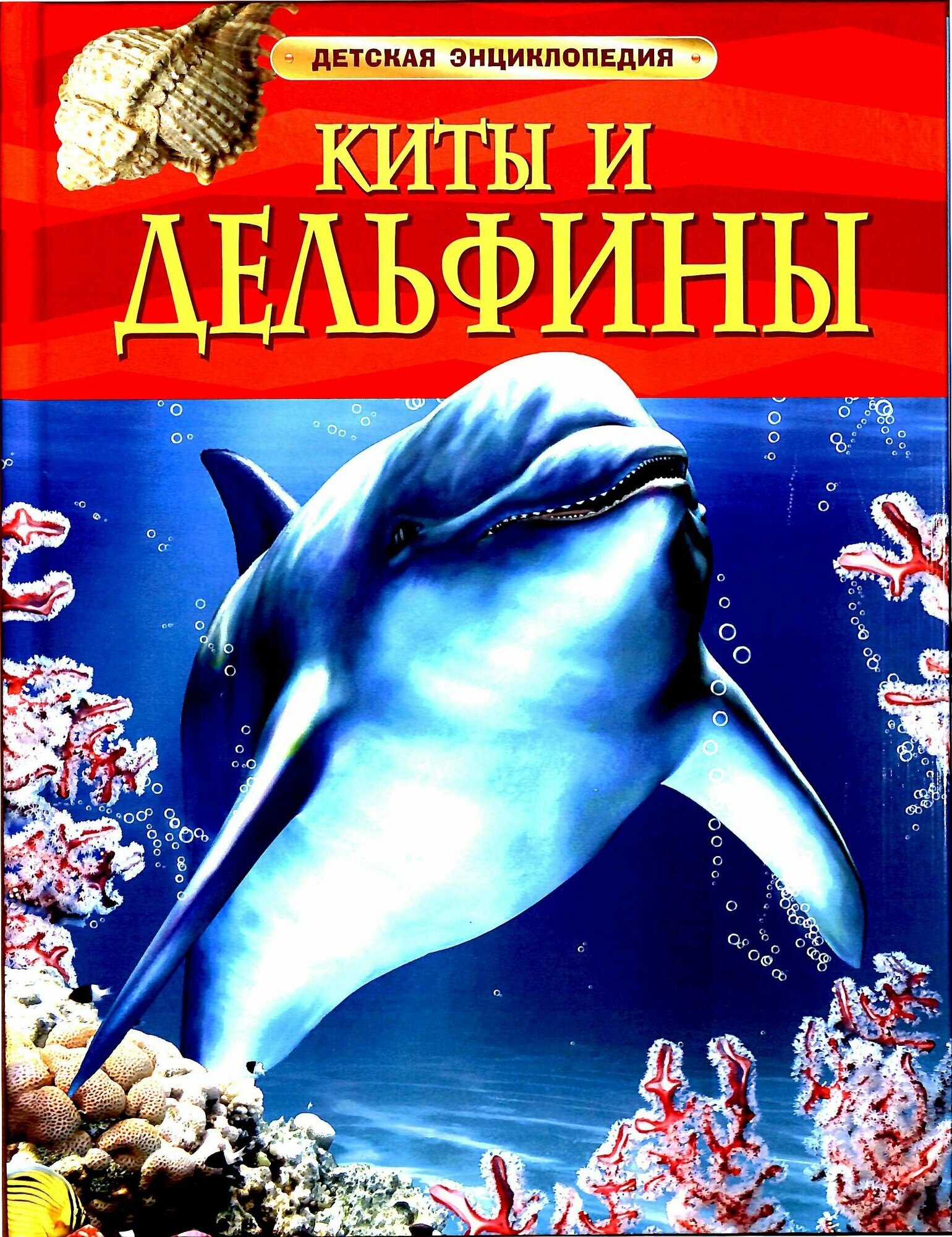 Киты и дельфины (Дэвидсон) (84х108/16)