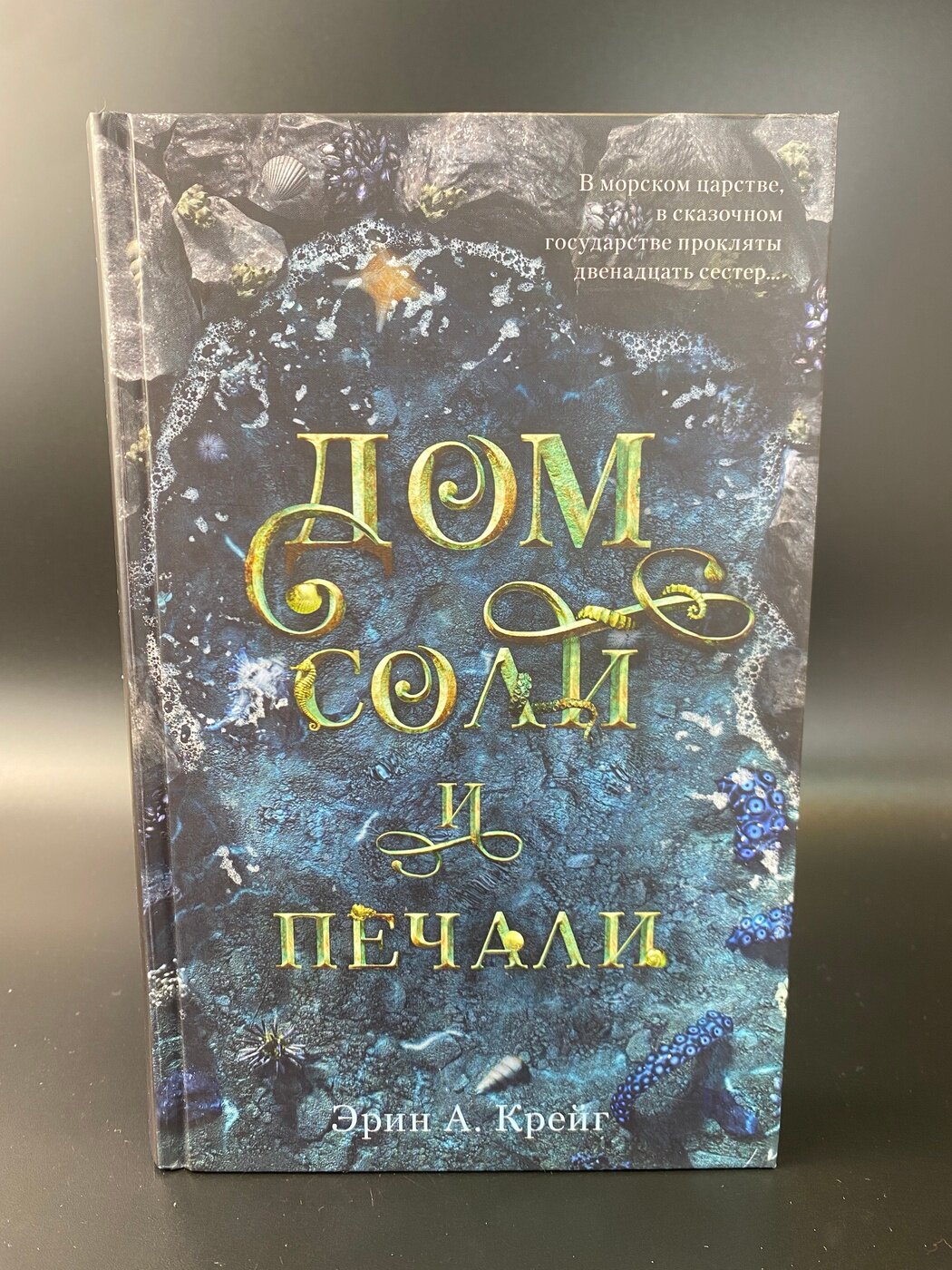 Дом соли и печали. Крейг Эрин