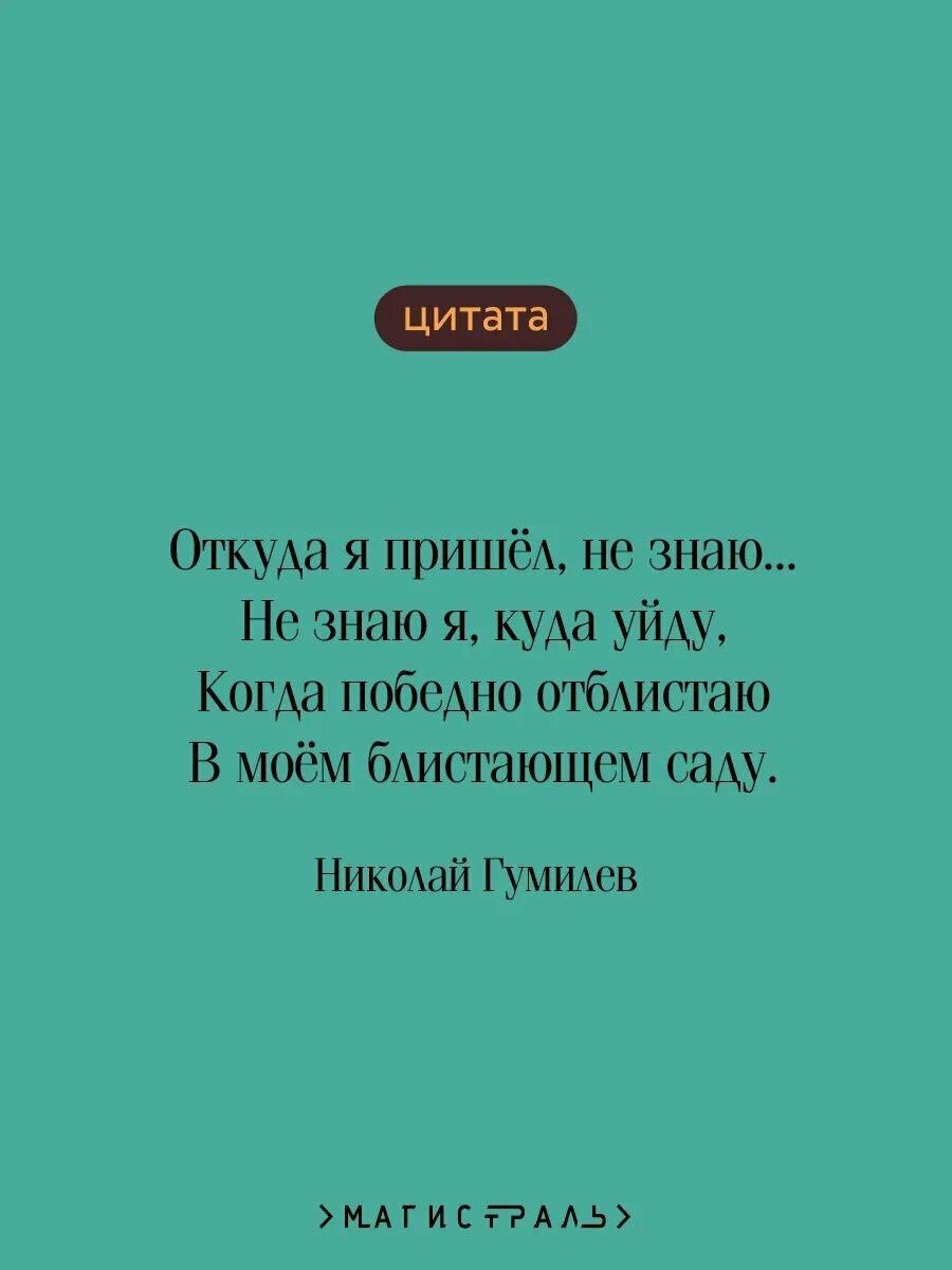 Путь конквистадоров — фото 1