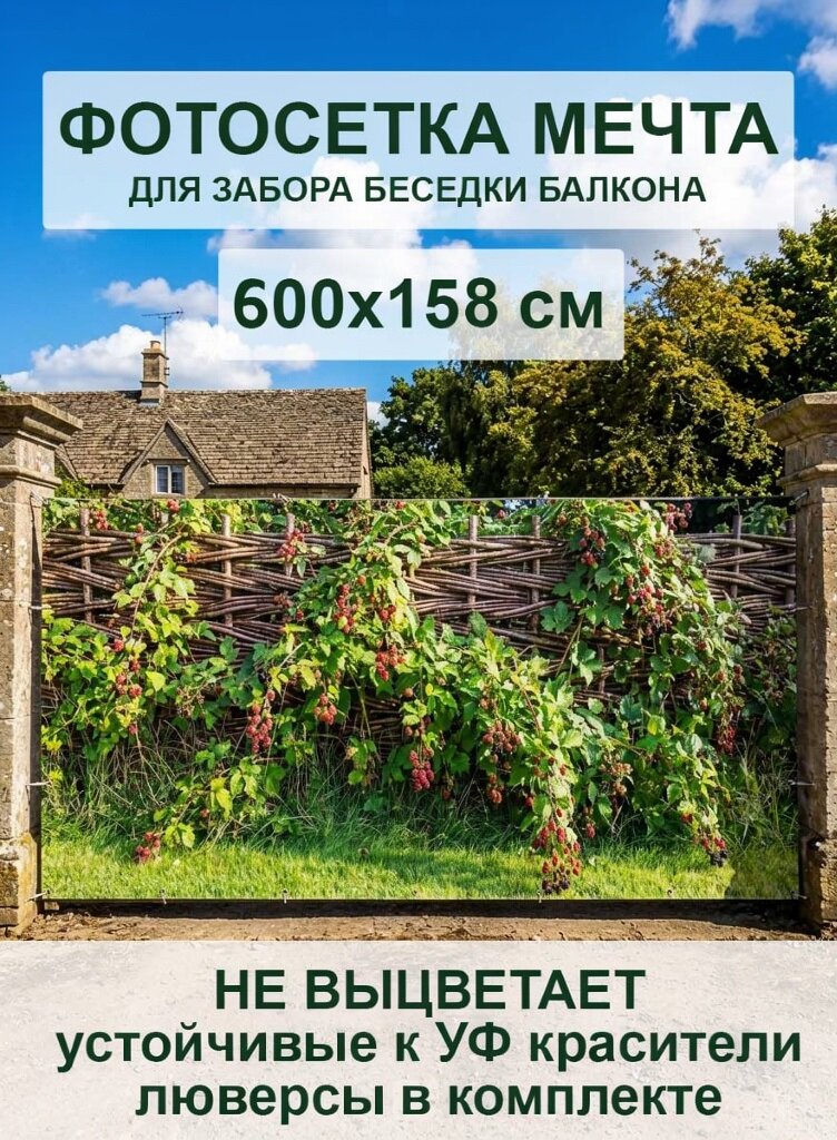 Фотосетка Мечта "Сделай сам" 600x158 см "Ежевика садовая" для декора забора, беседки, бассейна