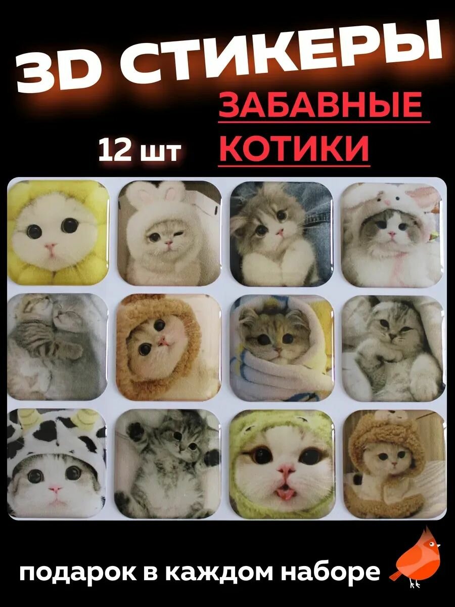 3d стикеры на телефон забавные котики