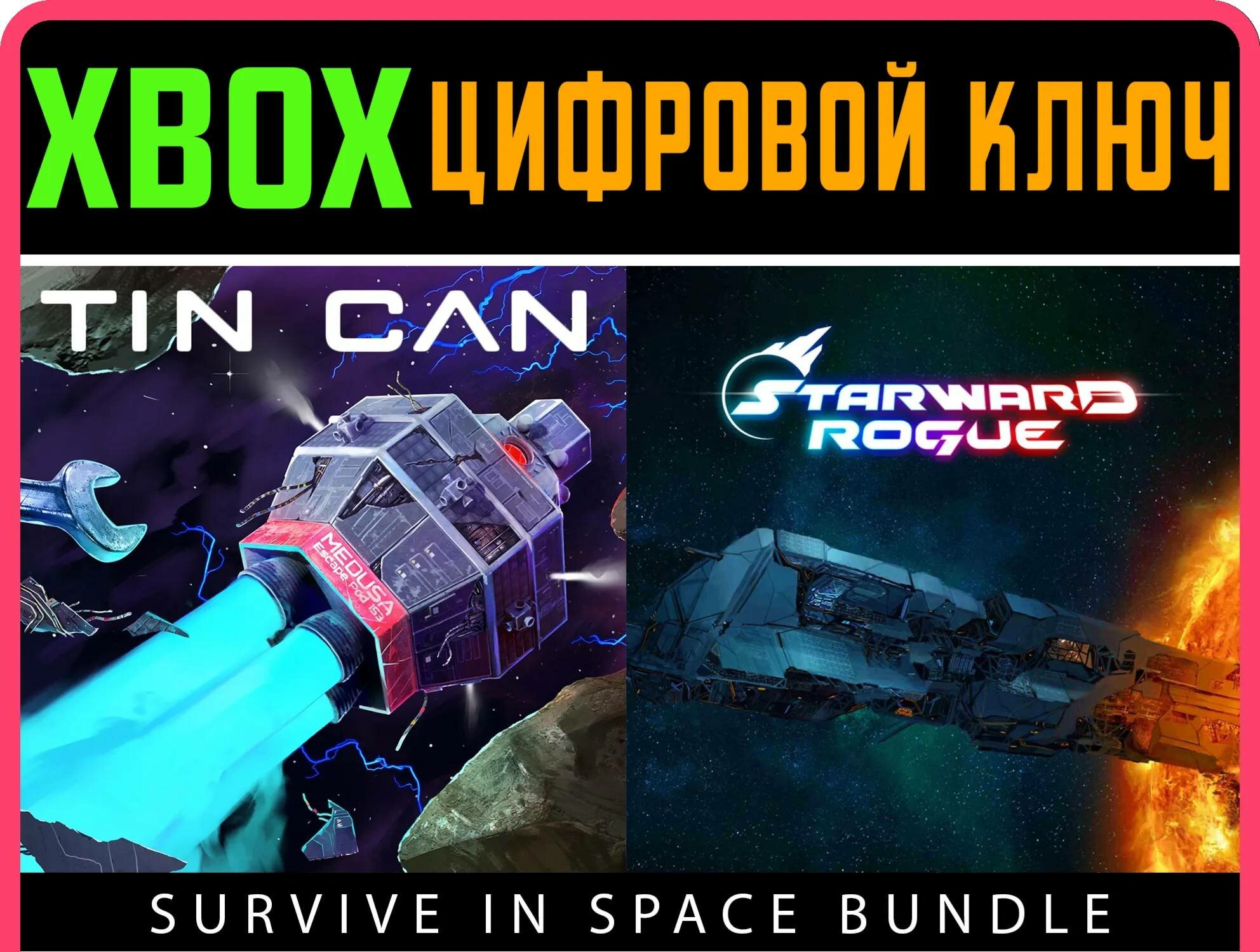 TIN CAN + STARWARD ROGUE - SURVIVE IN SPACE BUNDLE DELU | Работает на ваш акк | Игра навсегда | Быстрая доставка