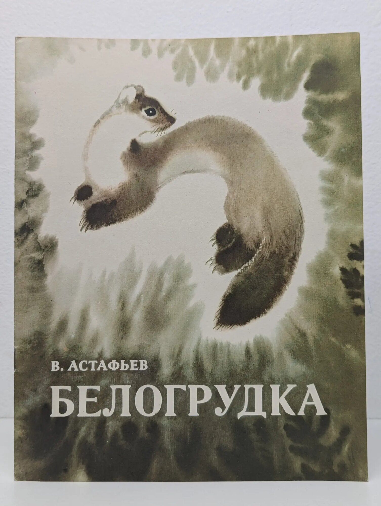 Белогрудка Астафьев Виктор Петрович 1979