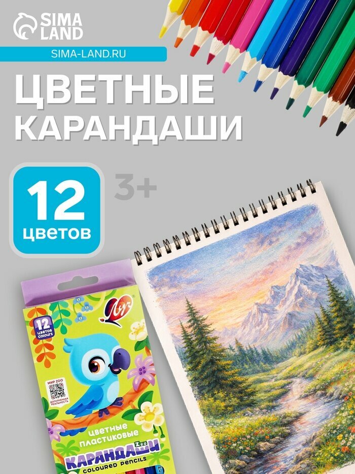 Цветные карандаши 12 цветов ZOO, пластиковые, шестигранные