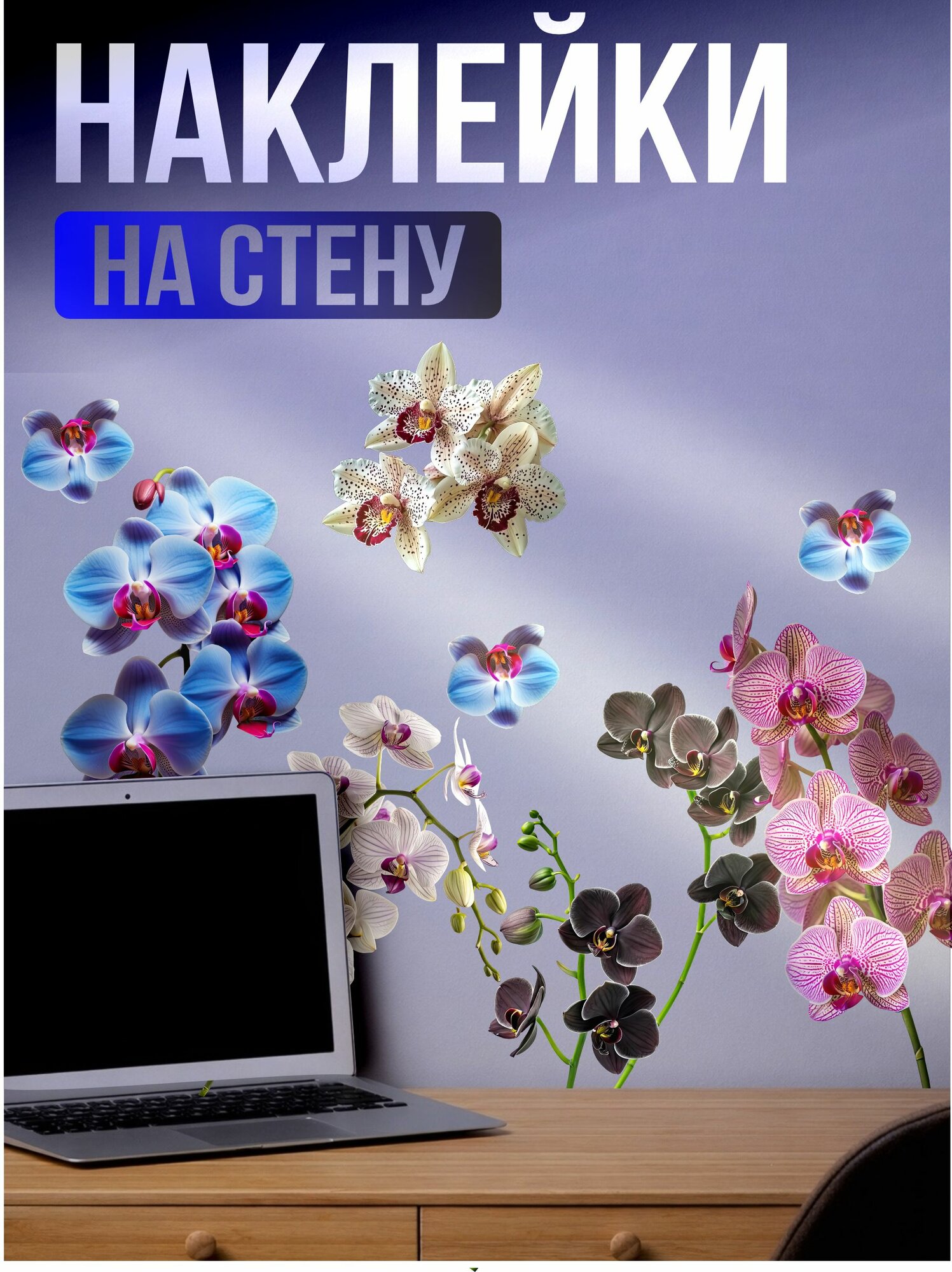 Интерьерные наклейки на стену для декора цветы орхидеи