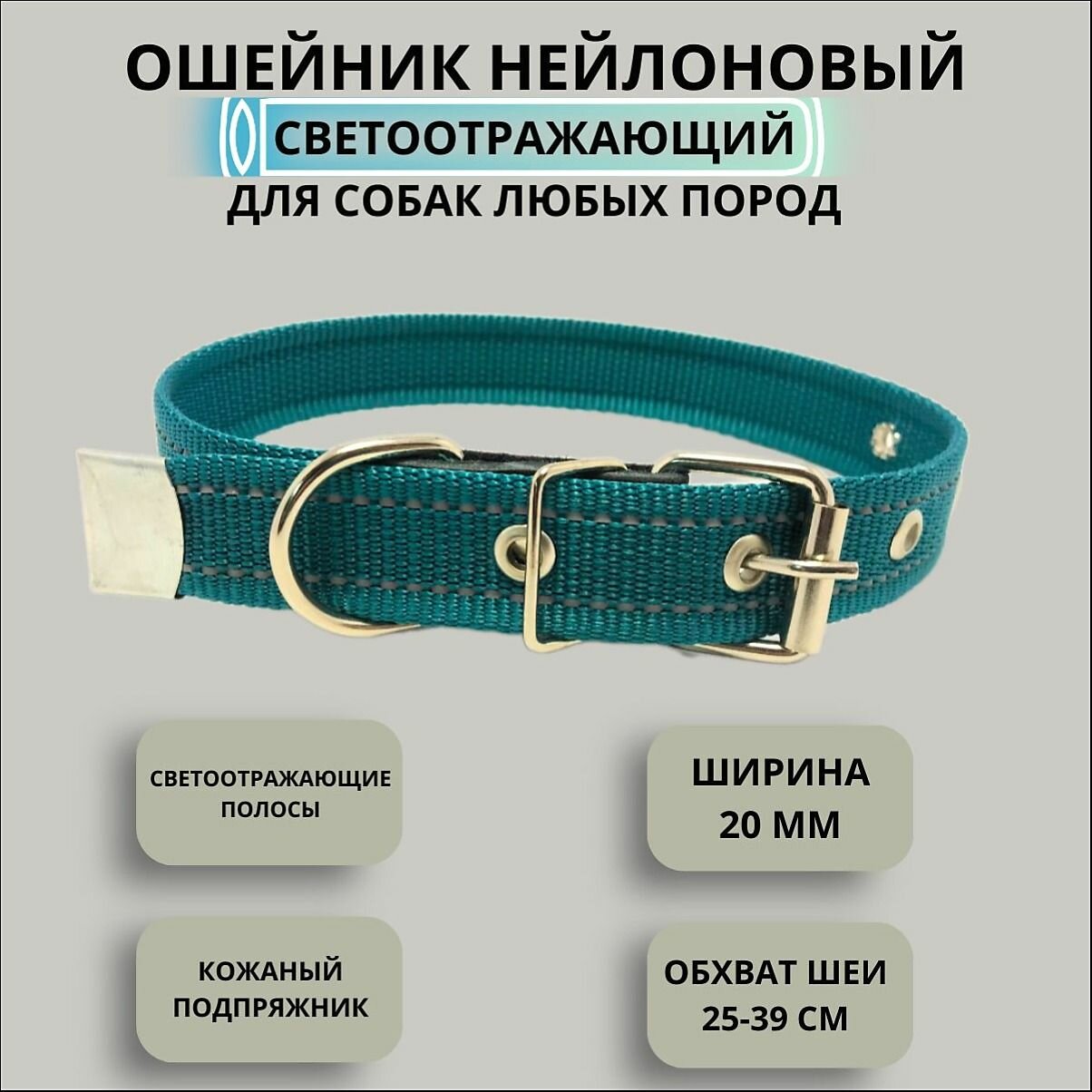 Ошейник "Морская волна", светоотражающий, нейлон, металл, для маленьких и средних собак