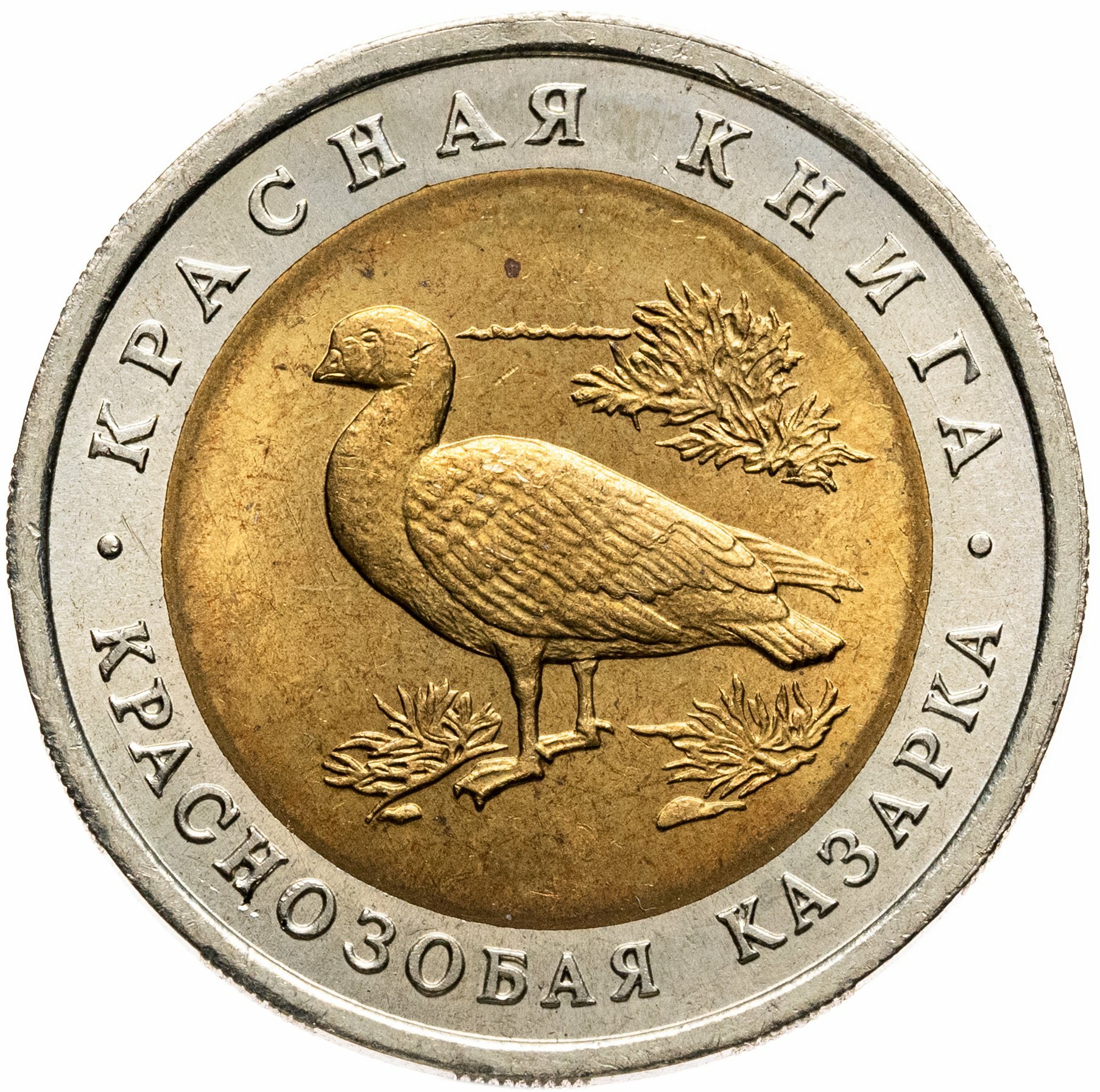 10 рублей 1992 ЛМД краснозобая казарка, Биметалл, в сохранности AU