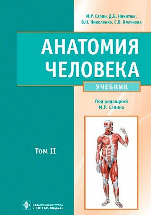 Анатомия человека : учебник : ТОМ второй в 2 томах / М. Р. Сапин, Д. Б. Никитюк, 2024.464 с.
