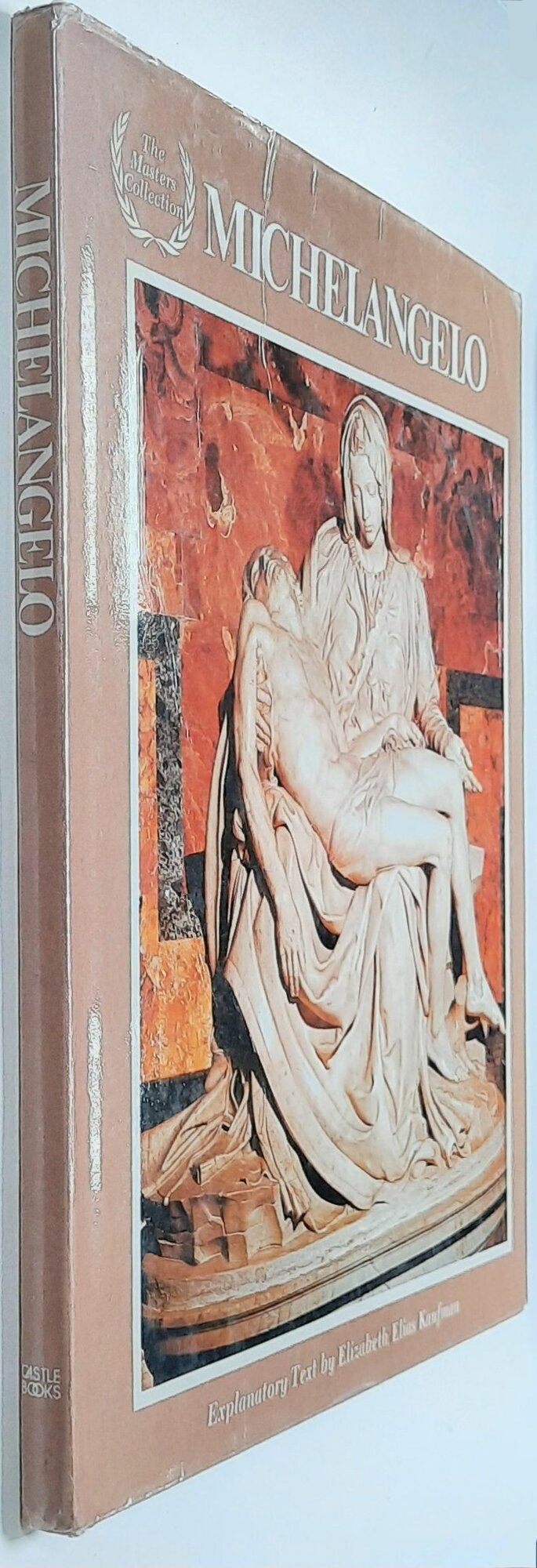 Michelangelo — фото 1