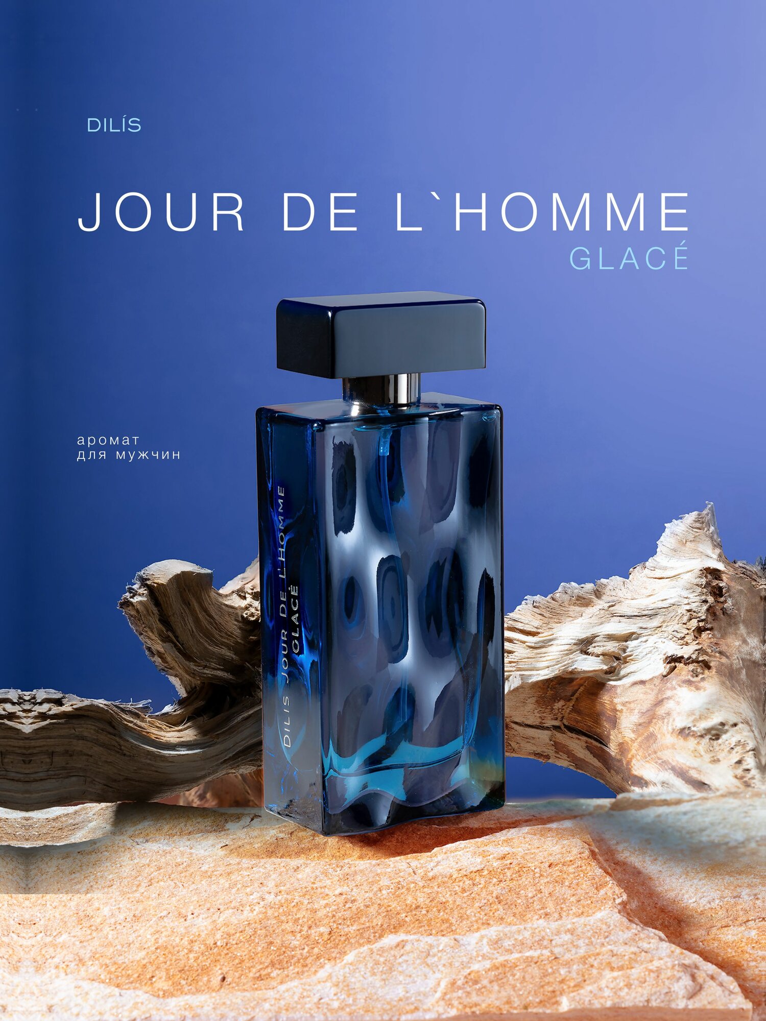Dilis Парфюм мужской Jour de l'Homme Glace, П/в, 100 мл