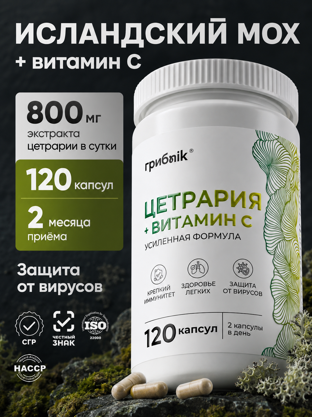 Исландский мох цетрария / исландский мох от кашля 120 капсул, грибnik