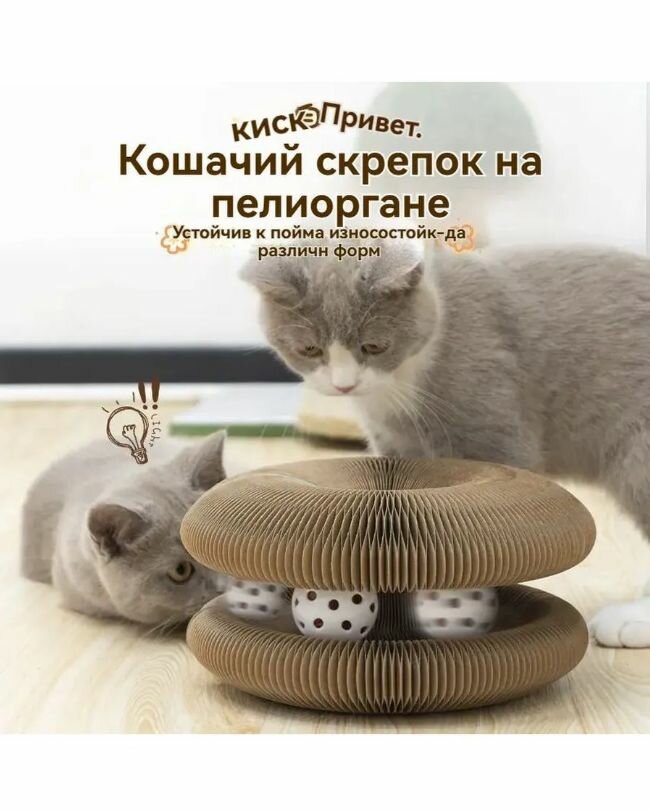 Игрушка для кошек интерактивная. Картонная когтеточка с мячом и мятой. Трансформер для кошек и котят.