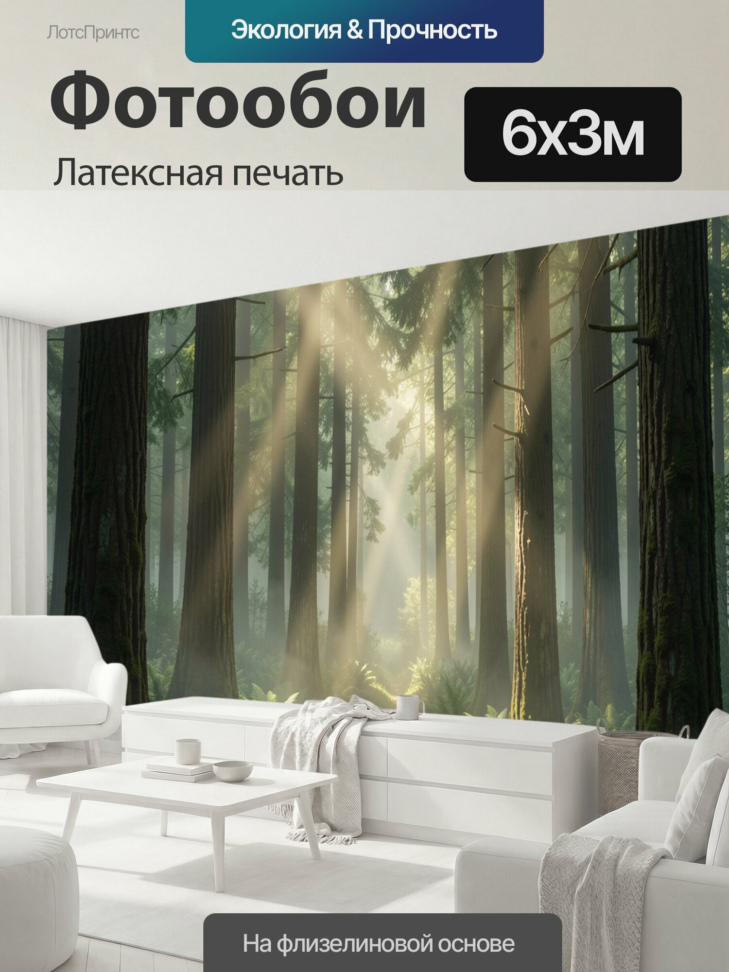 Фотообои моющиеся ударопрочные "Солнечный лес с тропой. Густой хвойный массив с высокими стволами, папоротниками и мягкими лучами света сквозь." 600x300 см. латексная печать