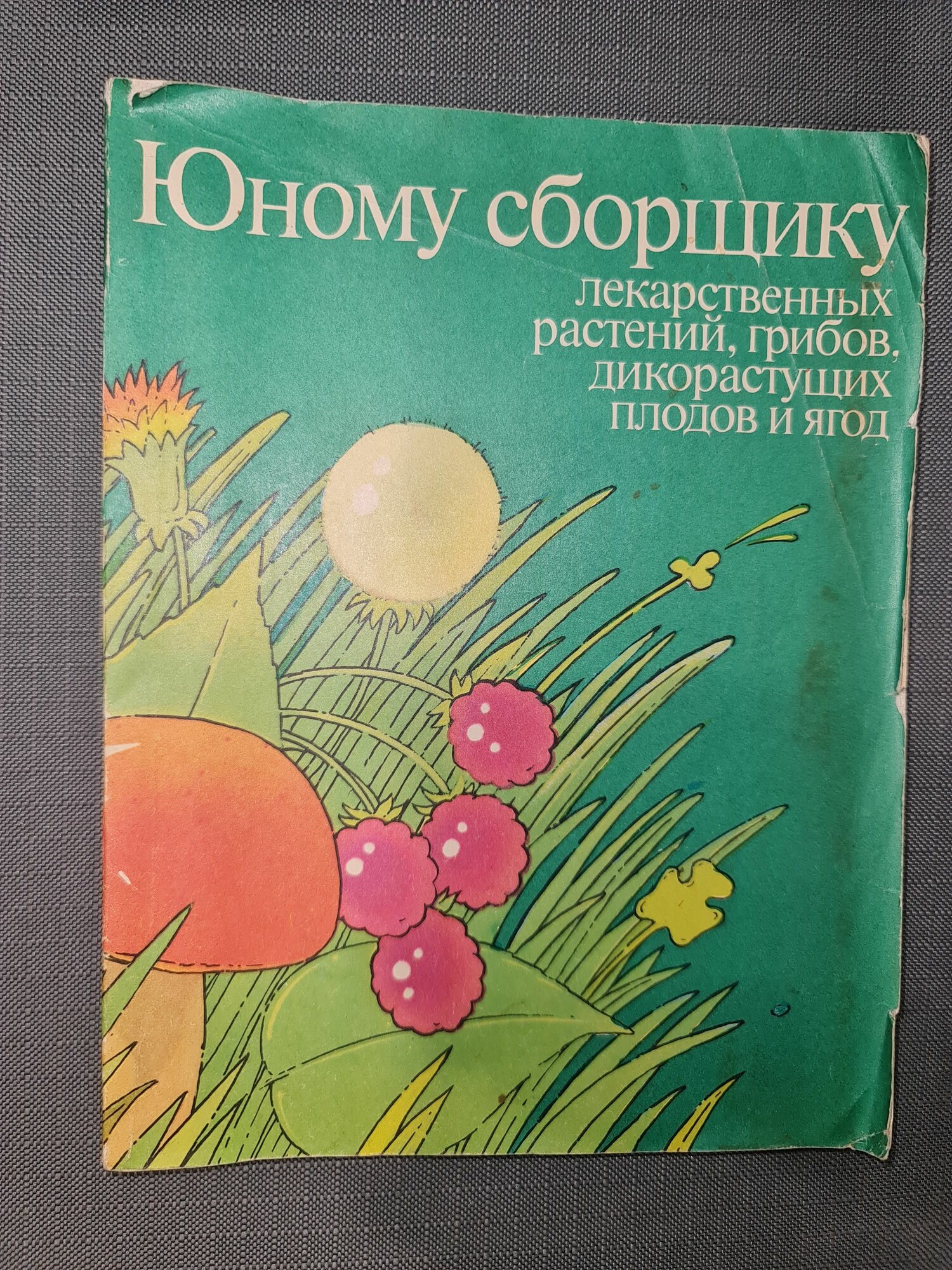 Гурьева И, Линник Н. - Юному сборщику лекарственных растений, грибов, дикорастущих плодов и ягод, редкая книга, 1988