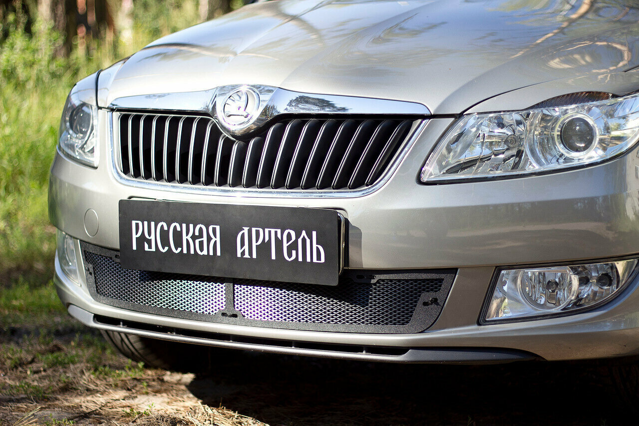 Защитная сетка переднего бампера Skoda Fabia II 2010-2013 г.