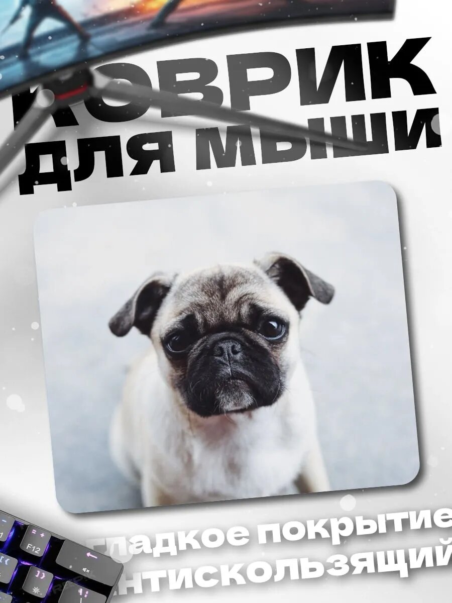 Коврик для мыши Мопс смотрит вверх