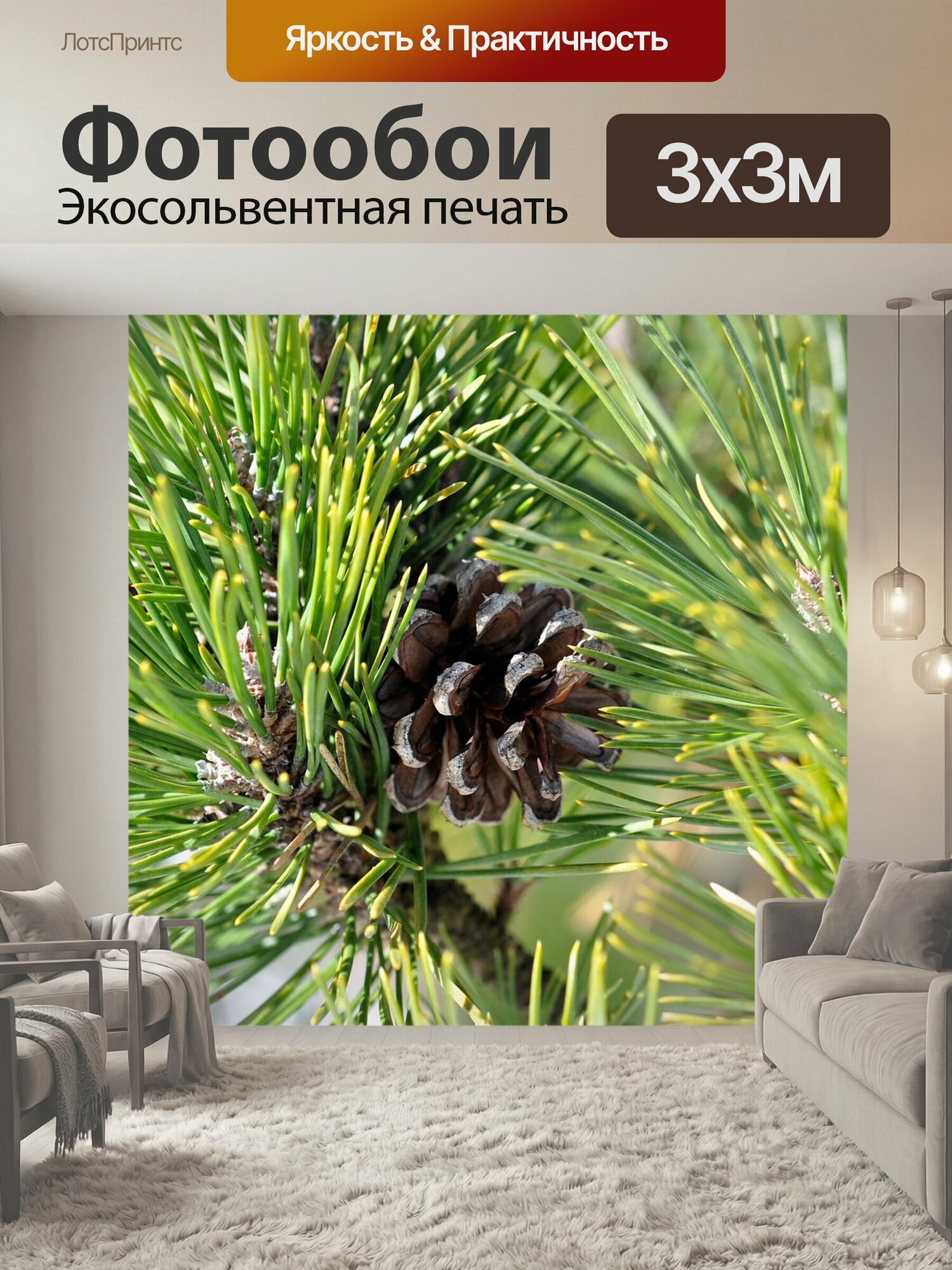 Фотообои "Сосна, дерево, сосновая шишка" 300x300 см. экосольвентная печать