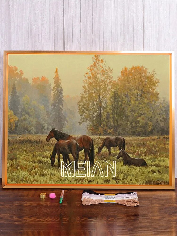 MEIAN Набор для вышивания,30x40CM, Чистый холст с сеткой 14CT,40 цветов