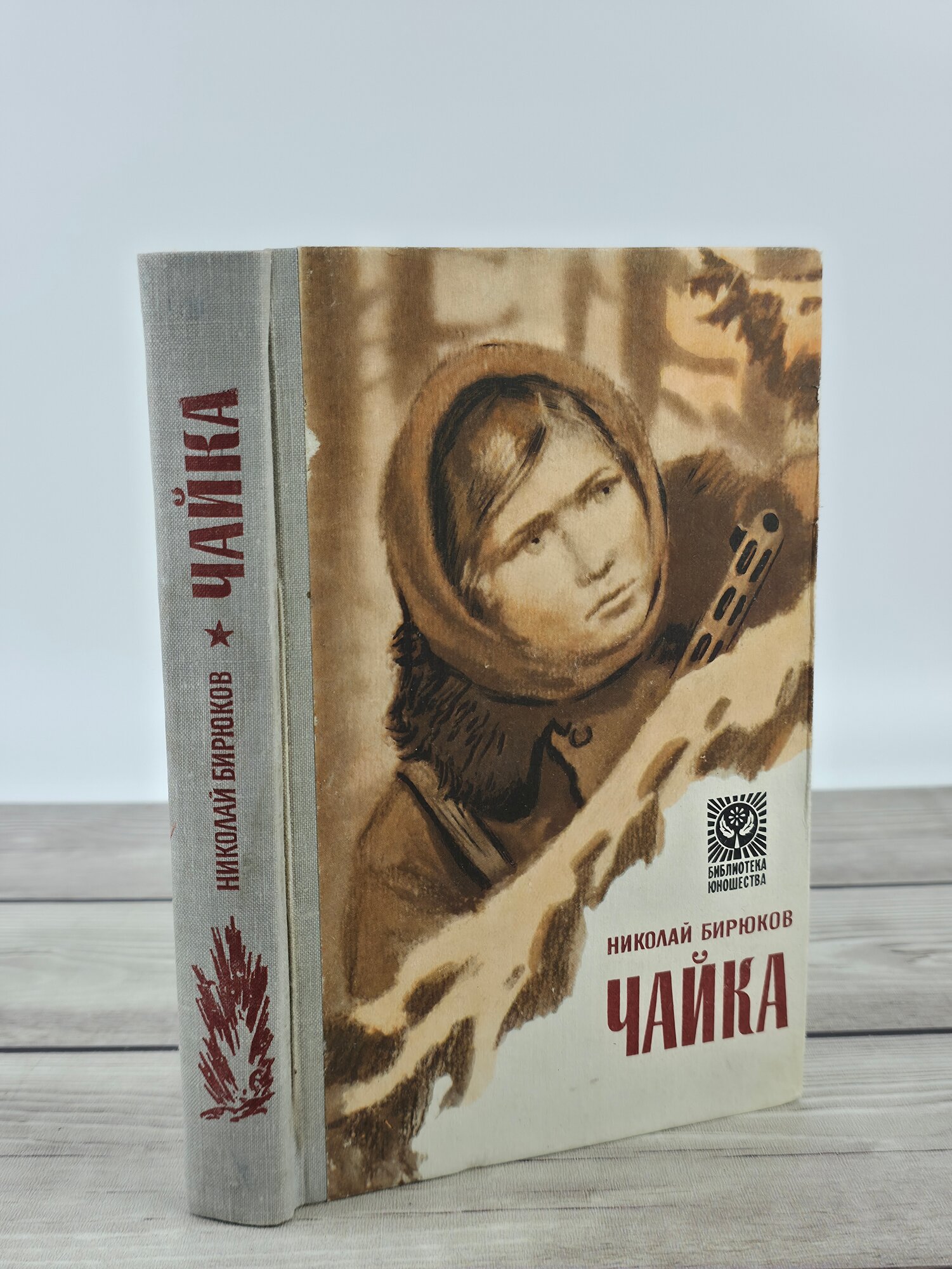 Чайка | Бирюков Николай Иванович
