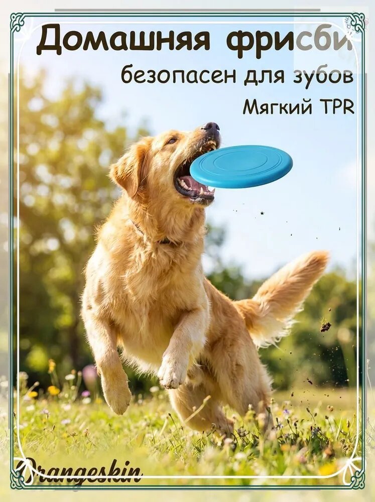 Фрисби