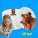 Drawing Paper, 10 pcs