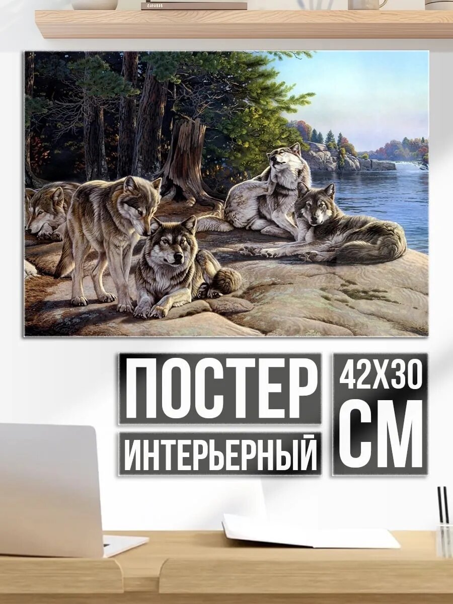 Плакат постер Стая волков у реки