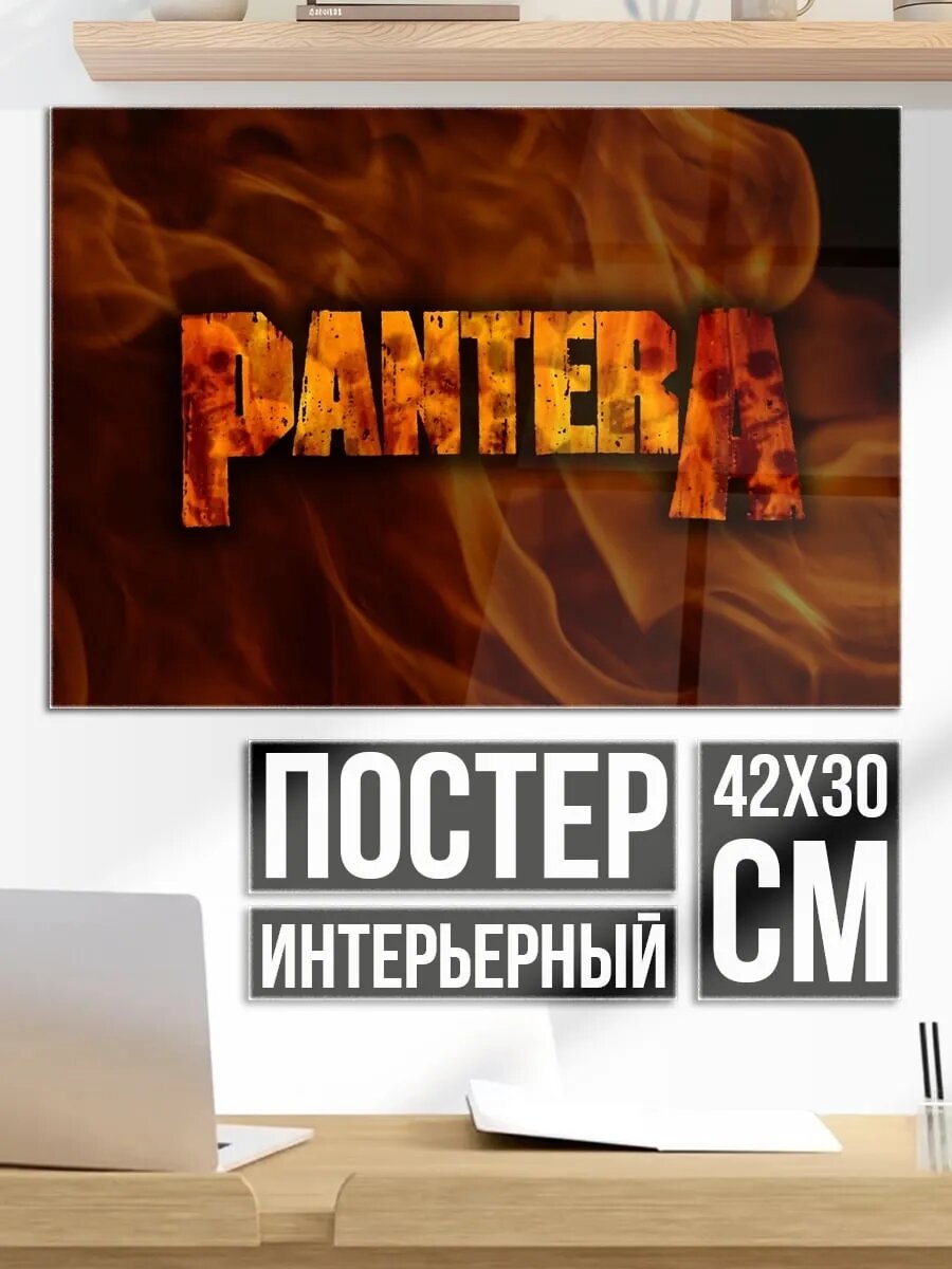 Плакат постер Pantera огонь