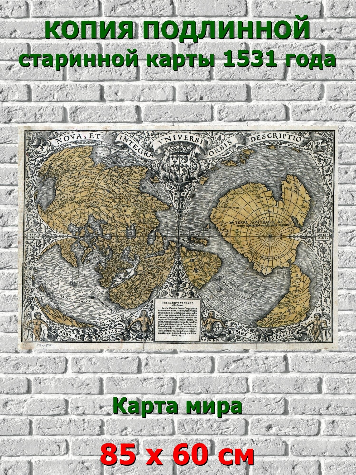 Старинная Карта мира 1531 года 87х60см
