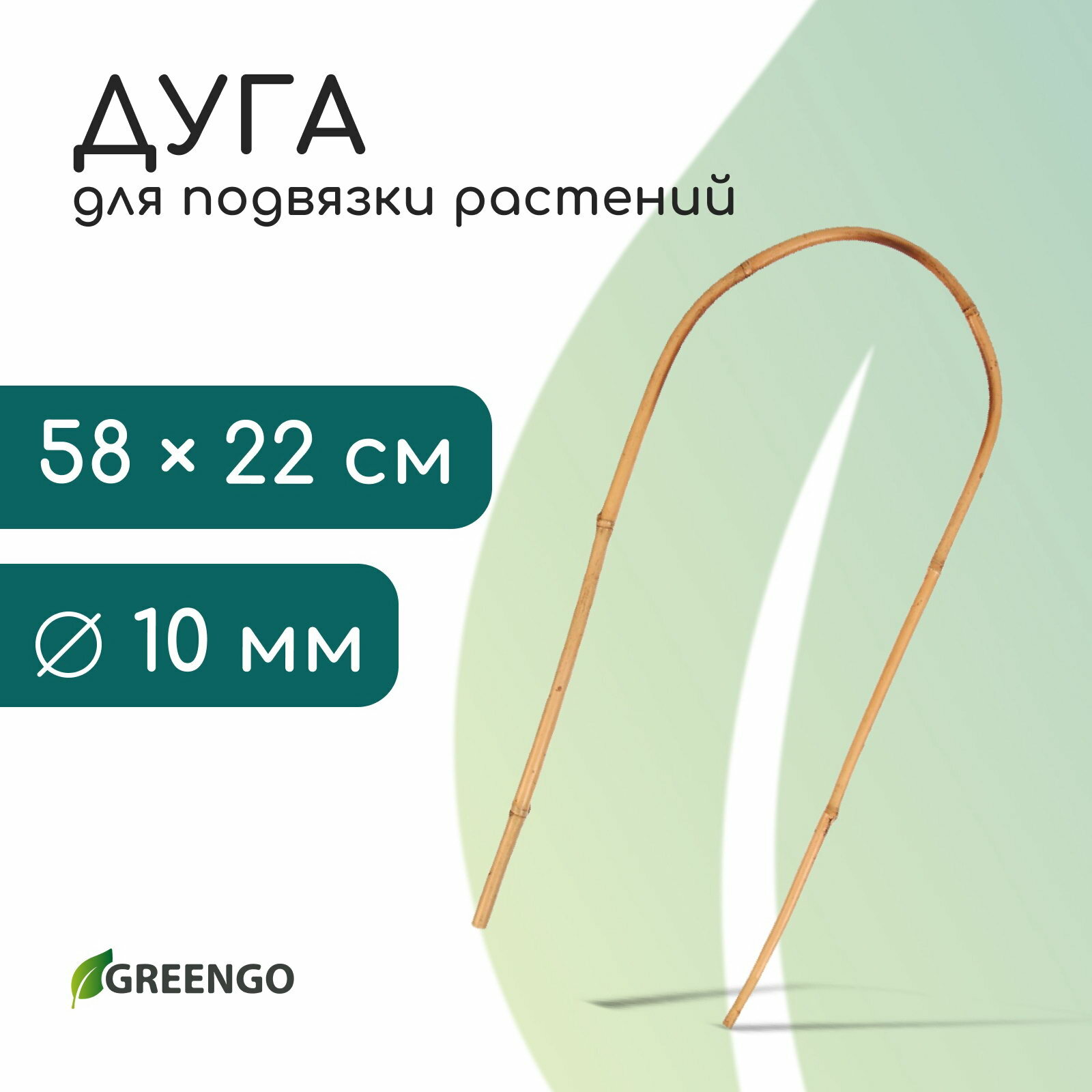 Дуга для подвязки растений, h=60 см, бамбук, цвет: бежевый, размер упаковки: 18 x 1 x 60 см, 2 шт.