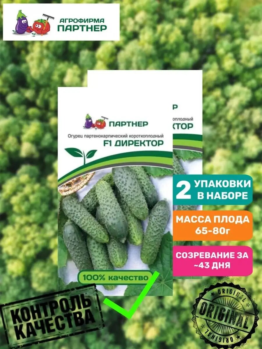 Огурец директор F1, (5шт), 2 уп.