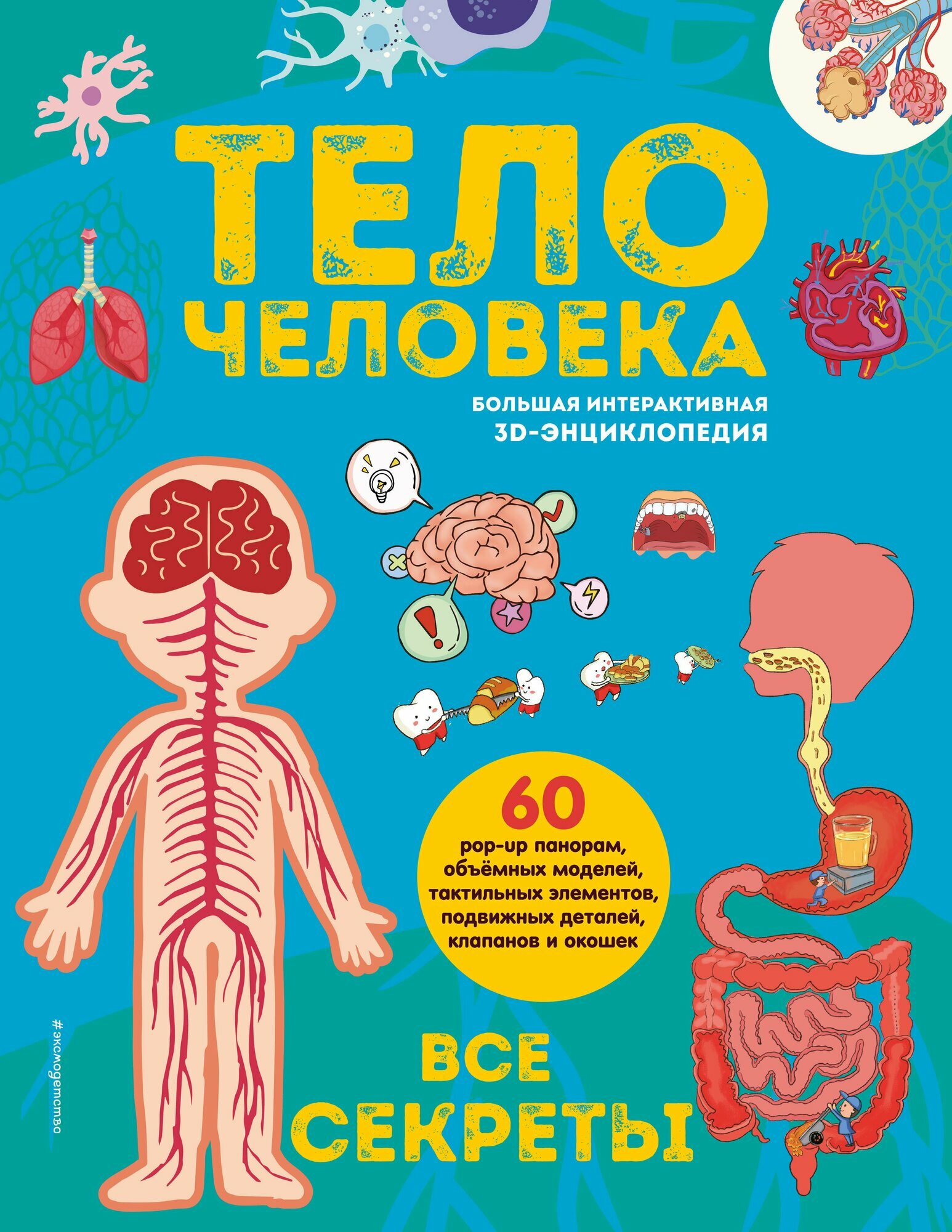 Тело человека. Все секреты. Большая интерактивная 3D-энциклопедия