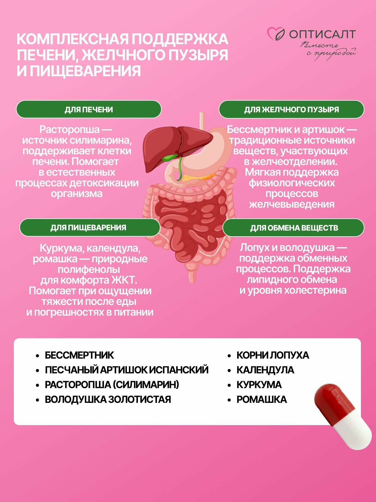 Желчь БАД 60 капсул для печени и желчного пузыря, желчегонное, расторопша, артишок, бессмертник, куркума, от застоя желчи, холестерина, детокс, при жирной пище — фото 1