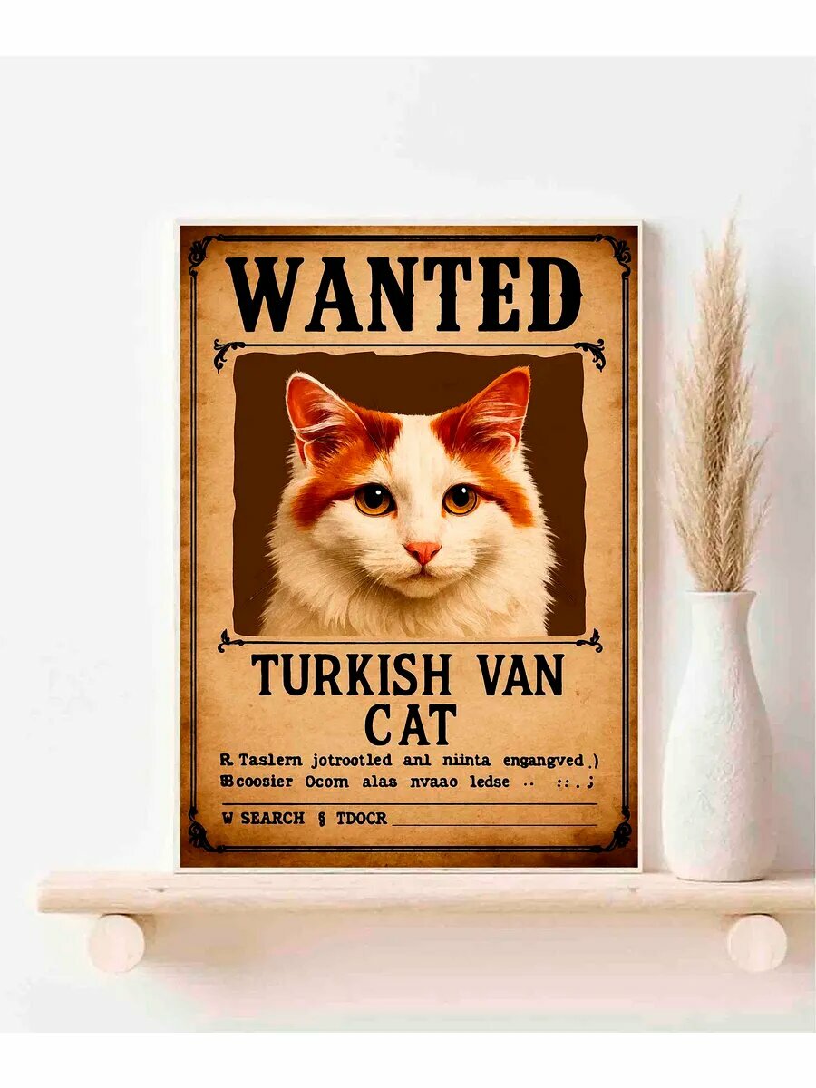 Турецкий Ванский кот, Wanted, Плакат 30x42см