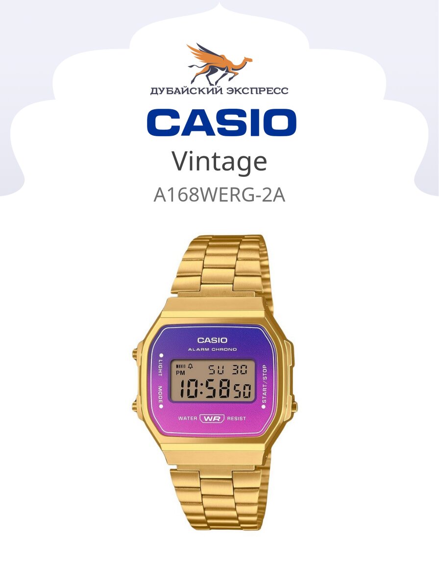  CASIO