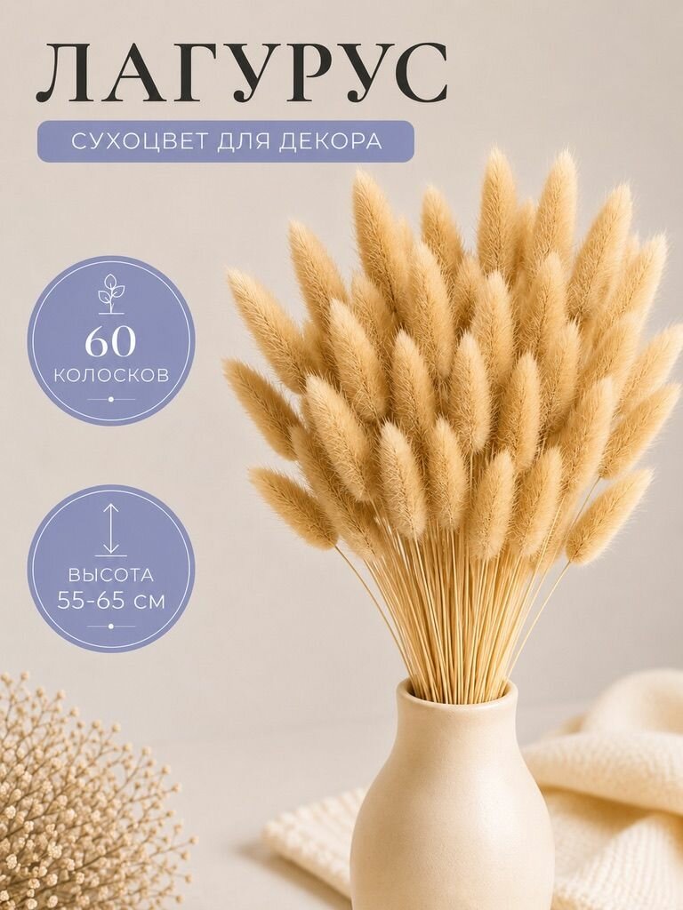 Лагурус сухоцвет для декора зайцехвост
