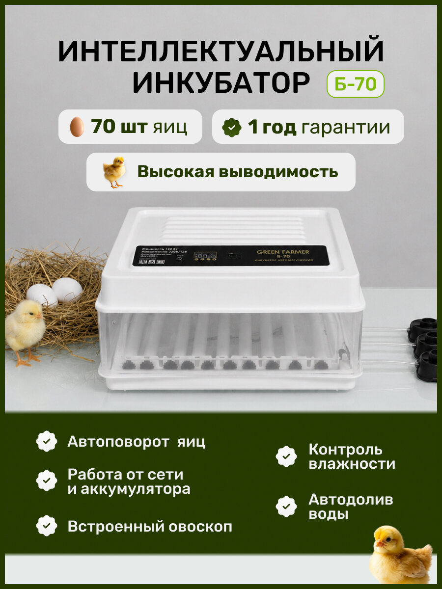 Инкубатор для яиц автоматический Б-70 с терморегулятором, гигрометром, овоскопом, автоповоротом, 220В/12В