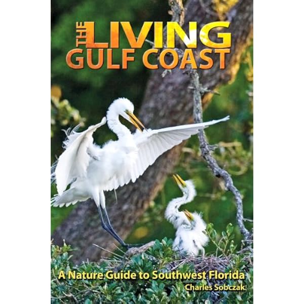 The Living Gulf Coast: A Nature Guide to Southwest Florida，Reprinted paperback book