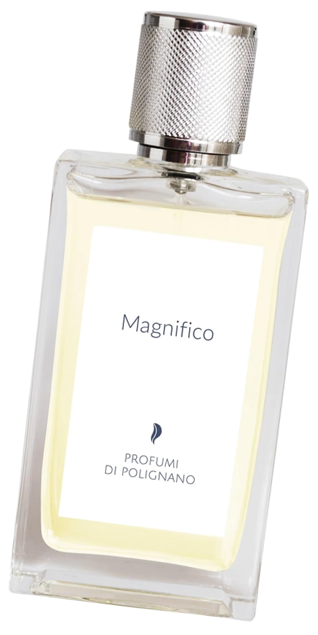 Profumi Di Polignano Magnifico 100 мл / Профуми Ди Полиньяно Магнифико для мужчин и женщин