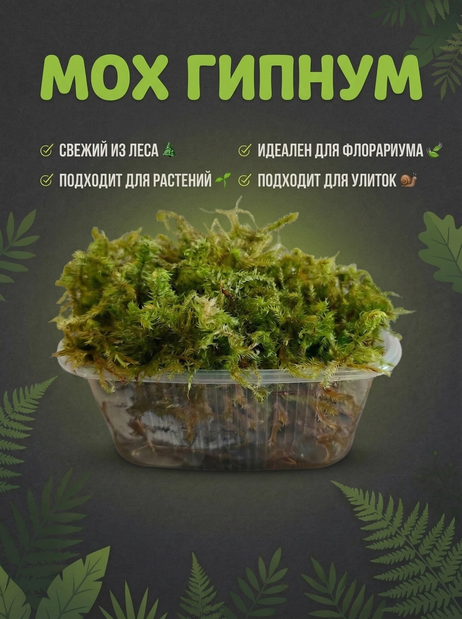 Мох гипнум свежий лесной 250мл
