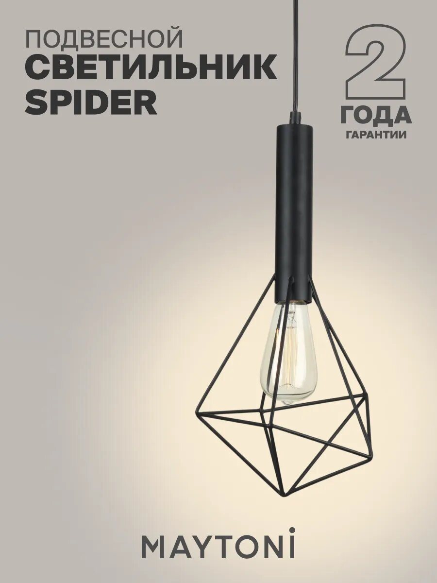 Подвесной светильник Maytoni T021-01-B Цоколь E27, 60W, IP 20