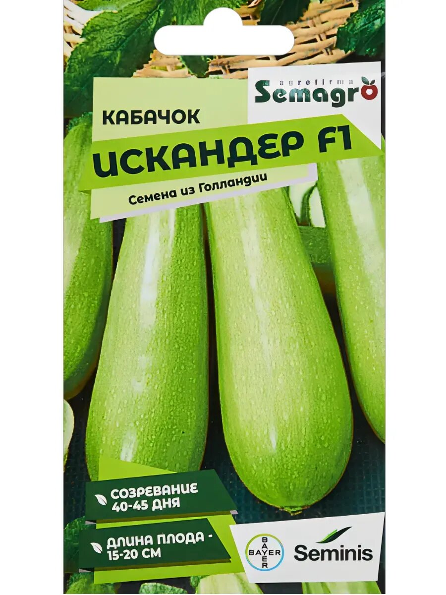 Семена кабачок Искандер