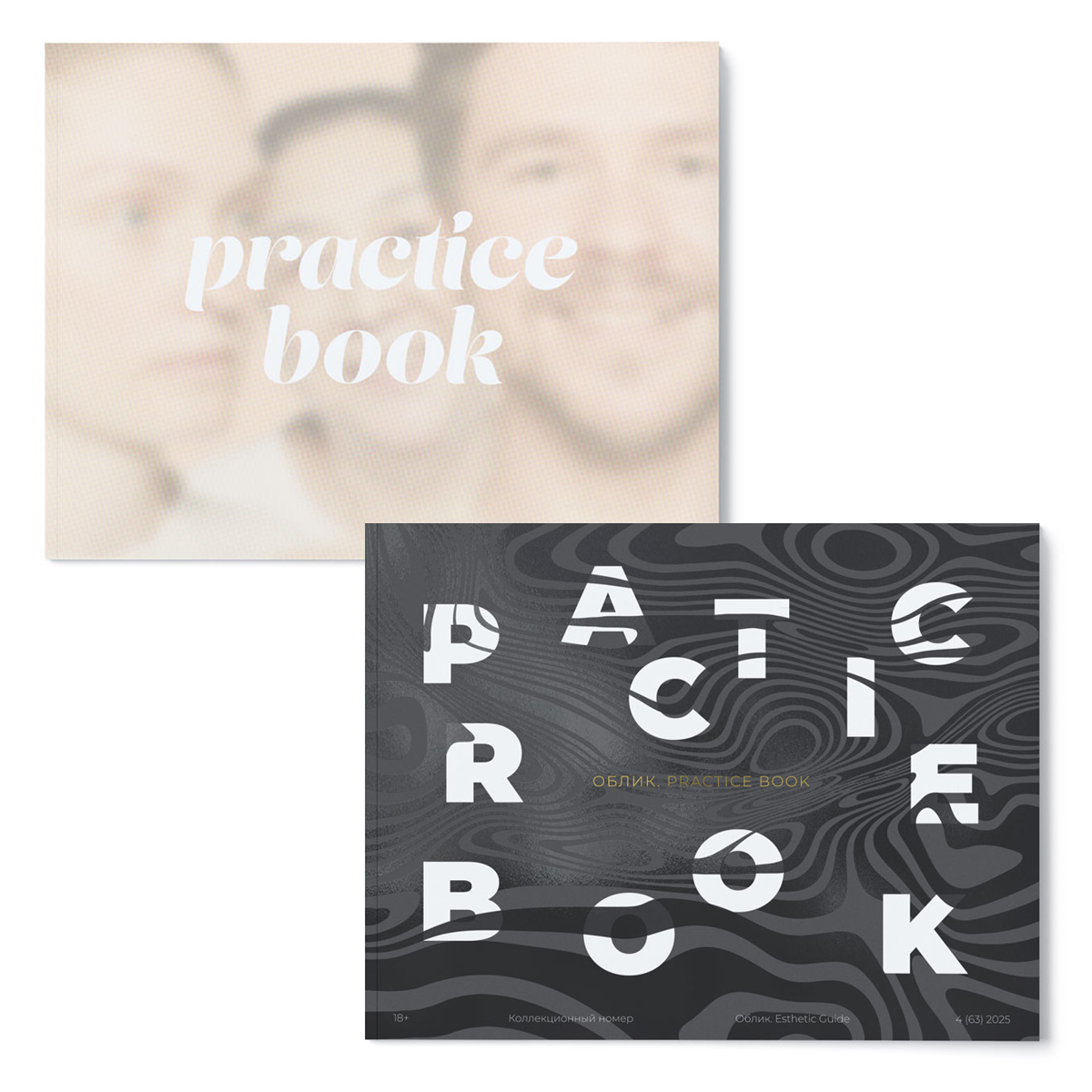 Сет журналов Practice Book 1+1: Облик. Practice Book-2024 и Облик. Practice Book-2025