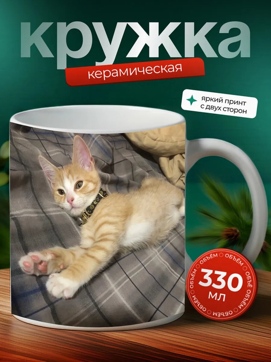 Кружка Американский бобтейл длинношерстный кот 24,