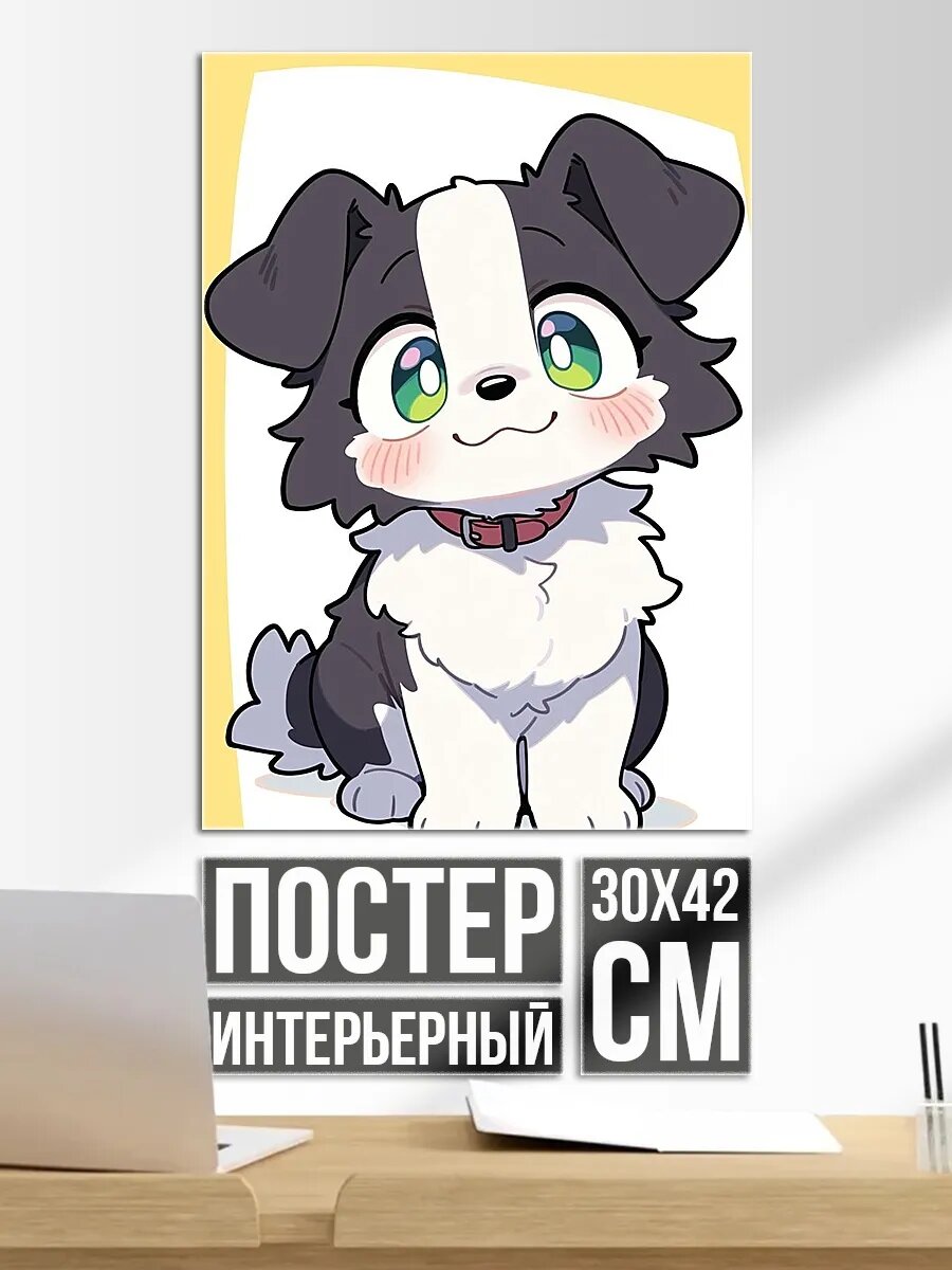 Плакат постер Милый щенок бордер колли