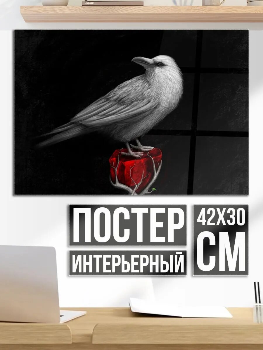 Плакат постер Белая птица на розе
