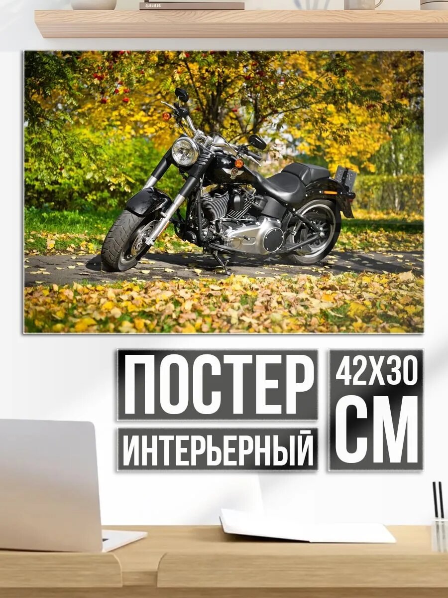 Плакат постер Мотоцикл осенью
