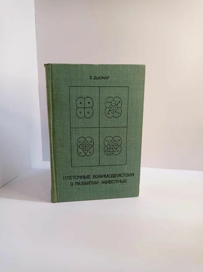 Клеточные взаимодействия в развитии животных