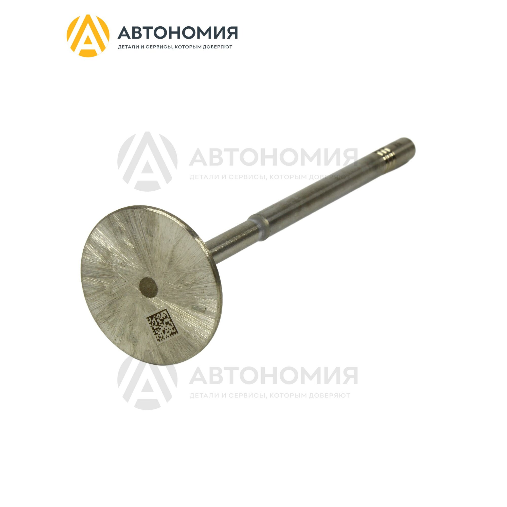 Клапан впускной Mercedes-Benz A 264 053 01 00