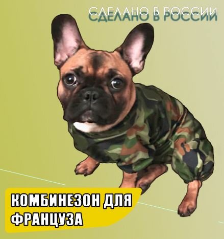 Комбинезон-дождевик для французского бульдога кобеля, повышенной прочности, цвет зеленый камуфляж
